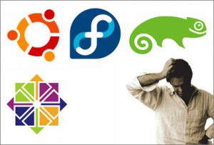 Choosing a free Linux distribution for a server